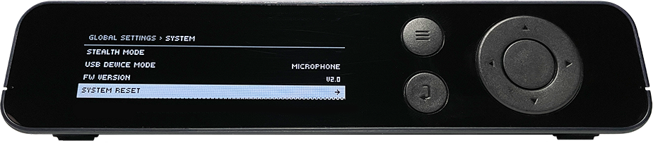 What can I do on the Hub DSP Receiver screen?